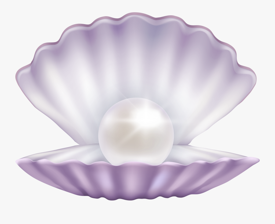 Shell Clipart Pearl Clipart , Free Transparent Clipart - ClipartKey