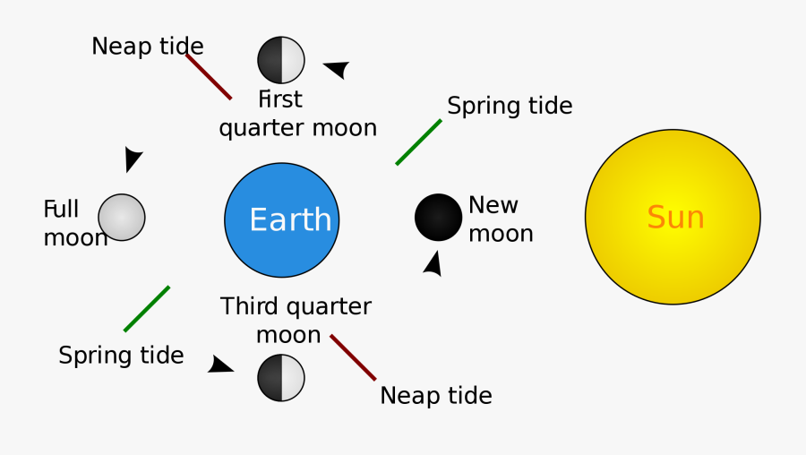 Transparent Tides Clipart - Diagram Tides , Free Transparent Clipart ...