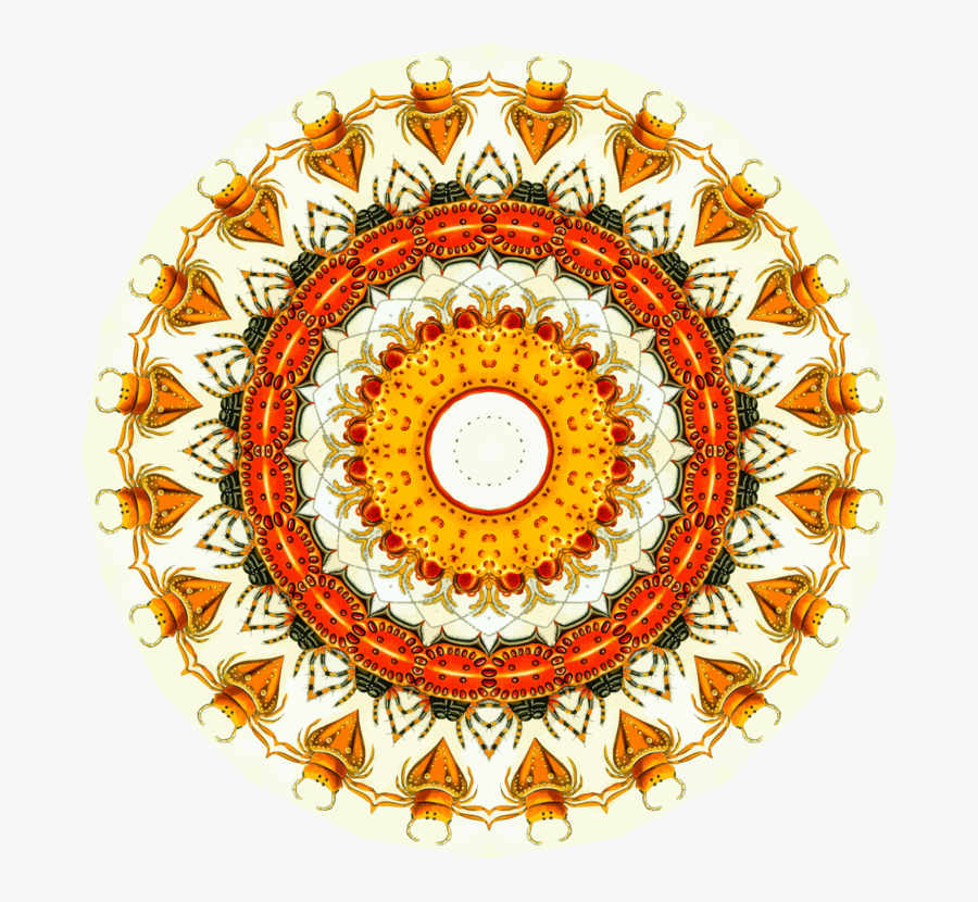 Circle,symmetry,color Wheel - Warm To Cool Color Story , Free ...