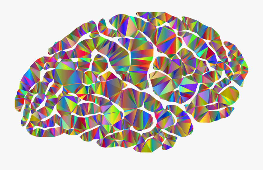 Line,organism,circle - Forgetful Brain , Free Transparent Clipart ...