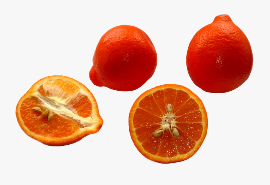 Minneola Tangerines Png Image - Bitter Orange , Free Transparent ...