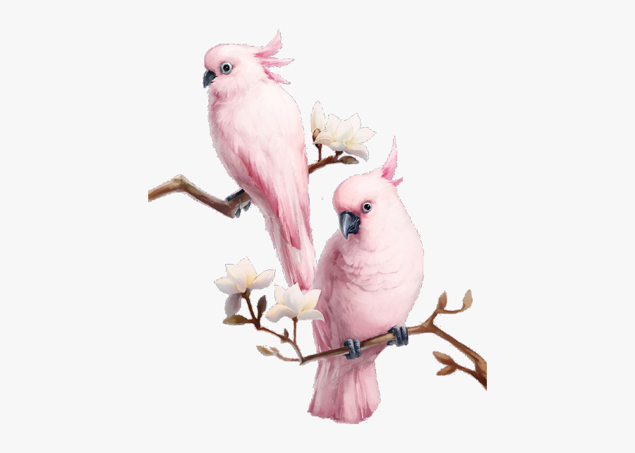 Parrots Pink Freetoedit - Full Hd Png Bird , Free Transparent Clipart ...