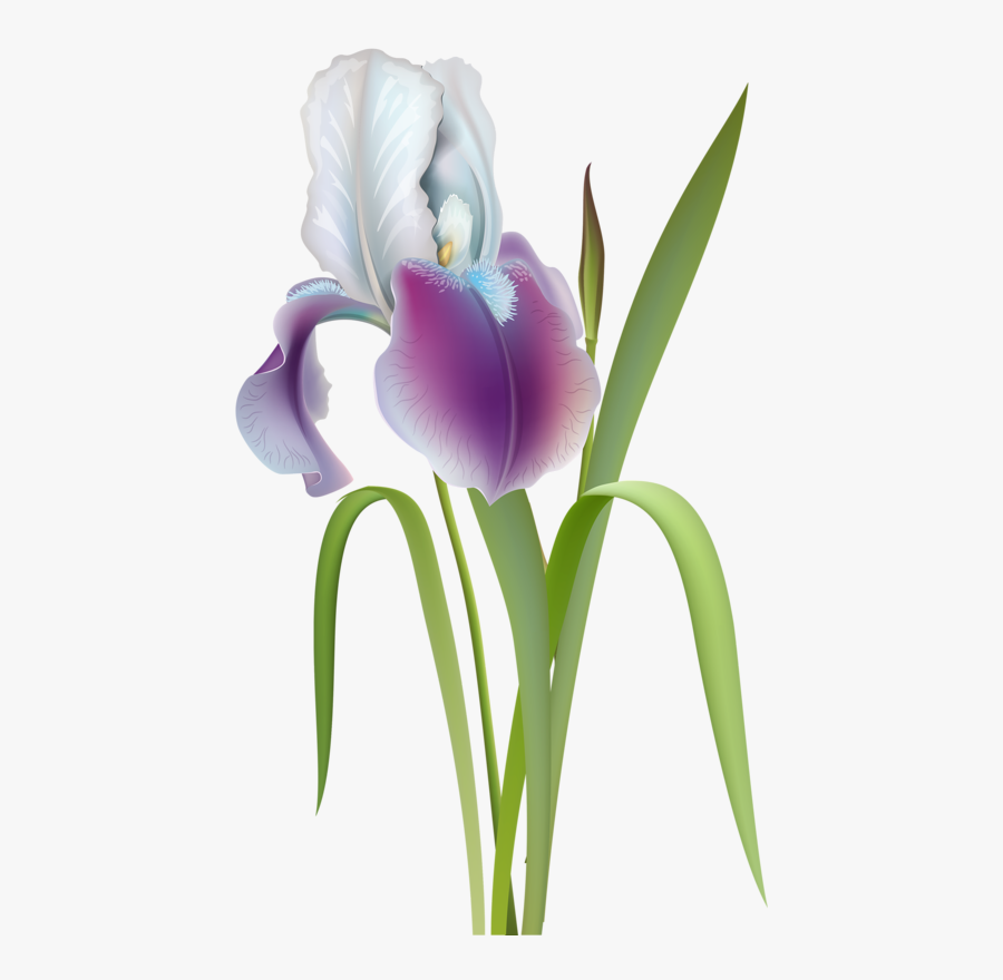 Clipart Transparent Spring Forward , Free Transparent Clipart - ClipartKey