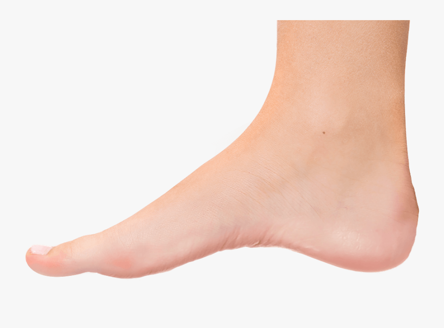 Img - Transparent Foot , Free Transparent Clipart - ClipartKey