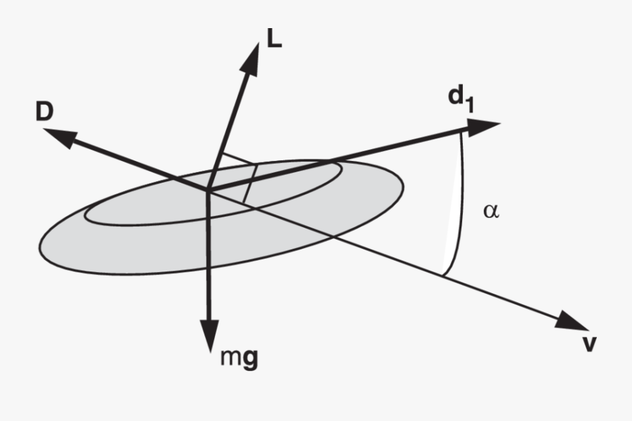 Drag And Lift Forces Act Along And Perpendicular To - Frisbee Free Body ...