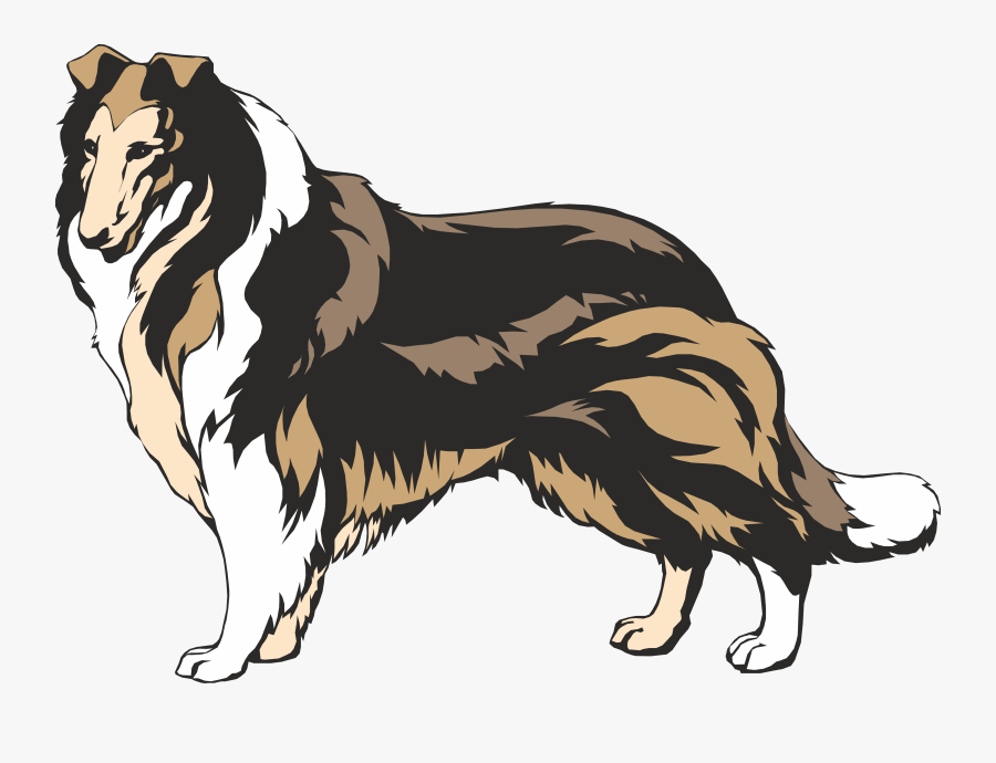Rough Collie Border Collie Smooth Collie Clip Art - Clip Art Collie Dog ...