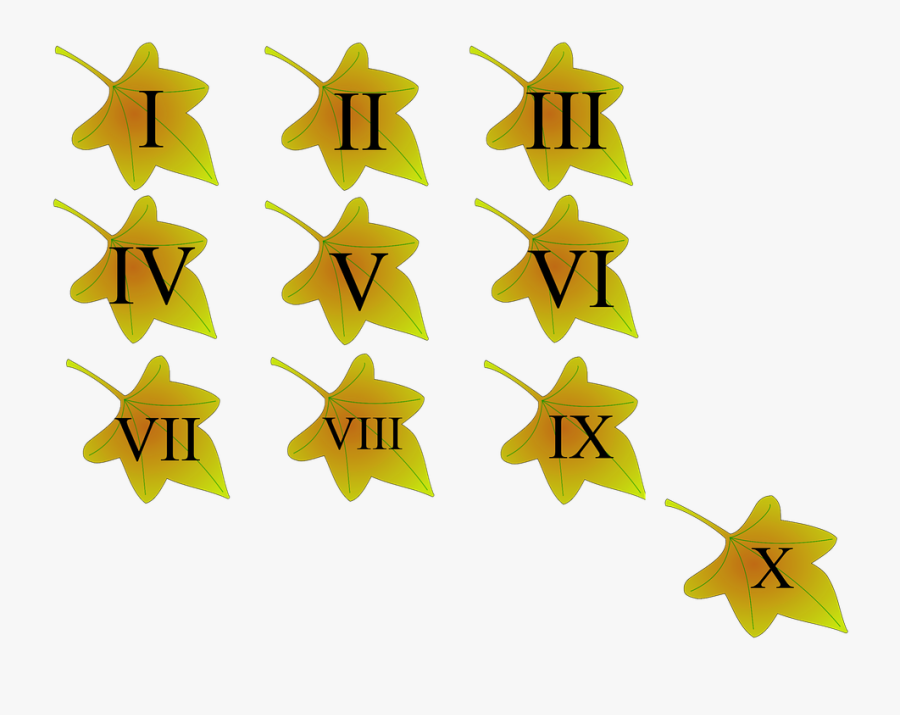 Numbers, Leaflets, Roman, Latin - Latin Numbers Png , Free Transparent ...