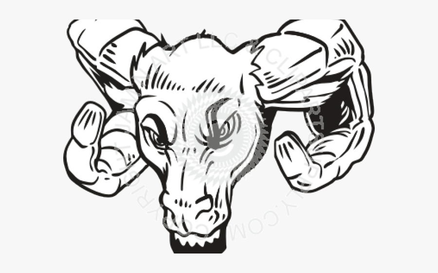 How To Draw A Ram Head , Free Transparent Clipart - ClipartKey