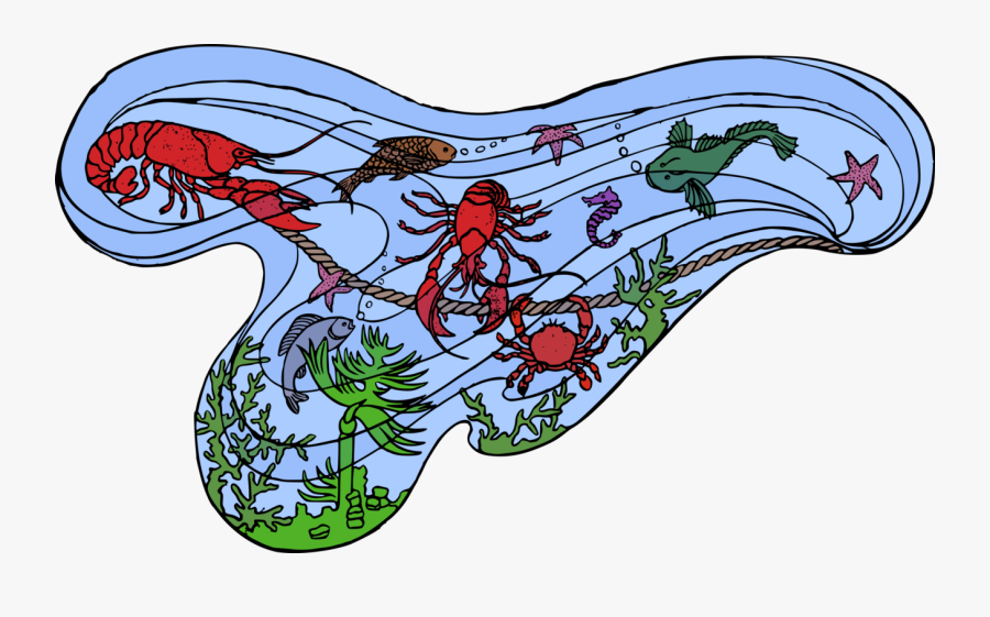 Plant,art,organ - Ocean Life Png , Free Transparent Clipart - ClipartKey