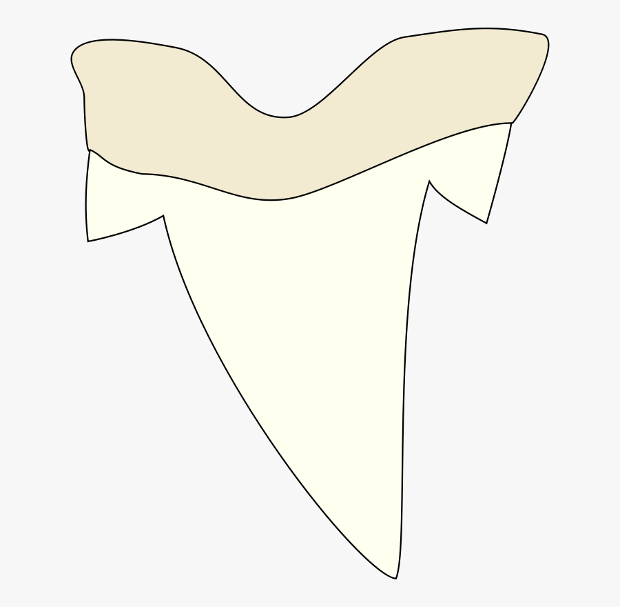 Shark Tooth - Simple Shark Tooth Drawing , Free Transparent Clipart ...