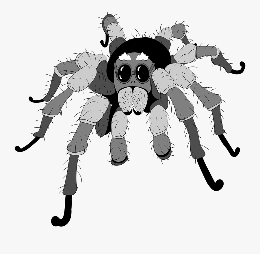 Animation Tarantula Png , Free Transparent Clipart - ClipartKey