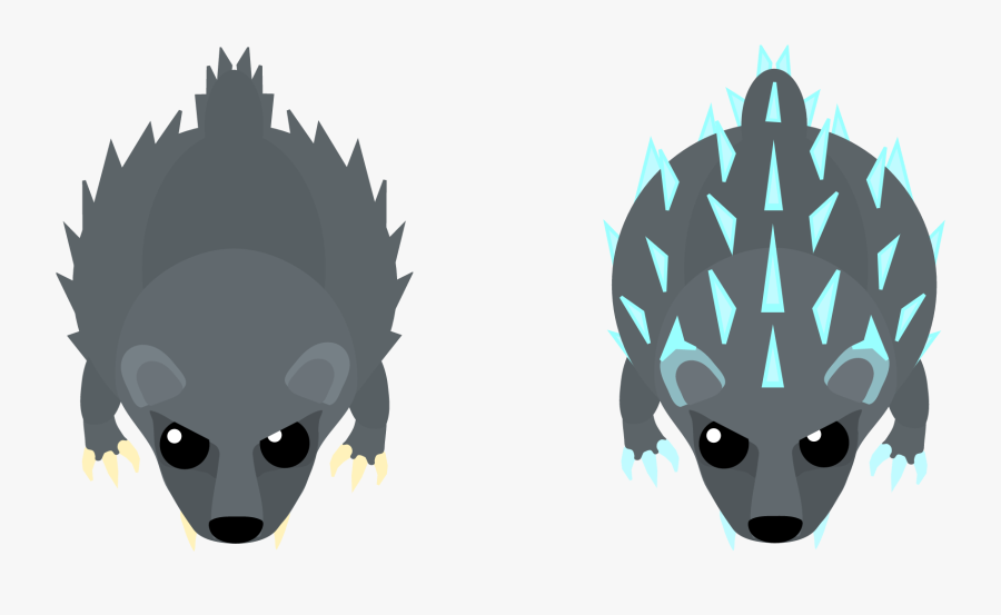 Procyon , Free Transparent Clipart - ClipartKey