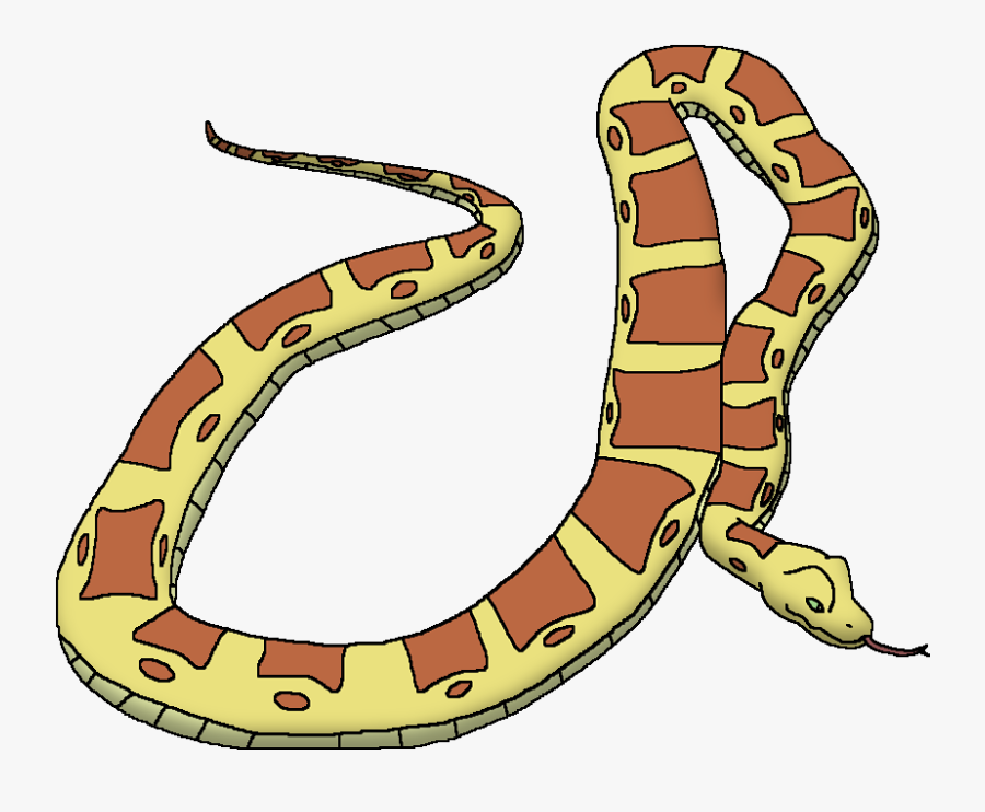 Wildlife Animal Pedia Wiki - Reticulated Python Cartoon , Free ...