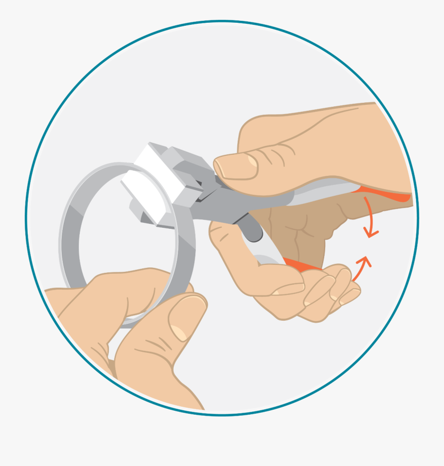 Step - Cartoon , Free Transparent Clipart - ClipartKey