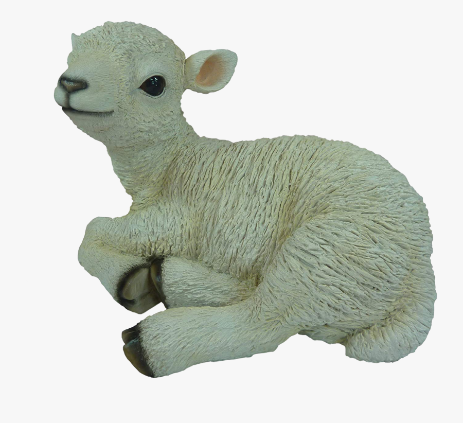 Lamb Png Transparent , Free Transparent Clipart - ClipartKey