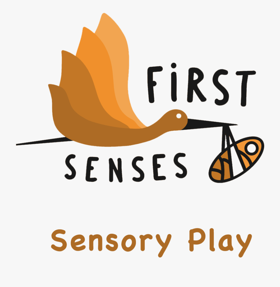 Sensory Play Course , Free Transparent Clipart - ClipartKey