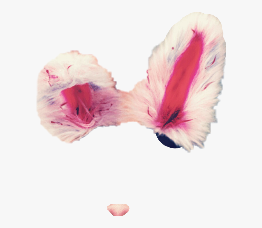 Transparent Rabbit Ears Png - Fluffy Bunny Ears Png , Free Transparent ...