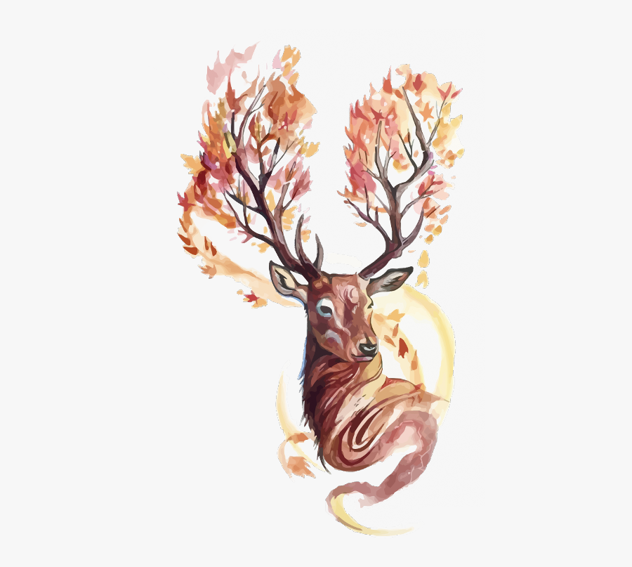 Transparent Deer Tracks Png - Katy Lipscomb Reh , Free Transparent ...