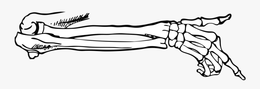 Transparent Png Body Parts - Skeleton Pointing Hand , Free Transparent ...