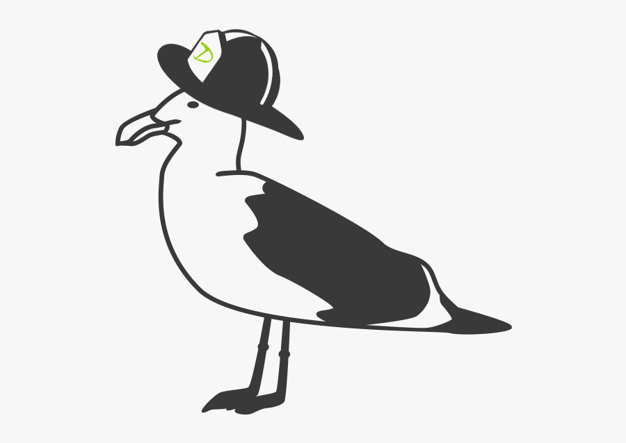 Gull - Cartoon , Free Transparent Clipart - ClipartKey