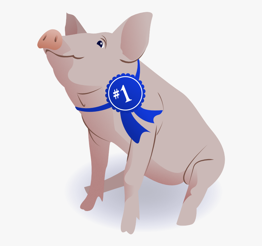 Transparent Prize Ribbon Png - Blue Ribbon Pig Clipart , Free ...