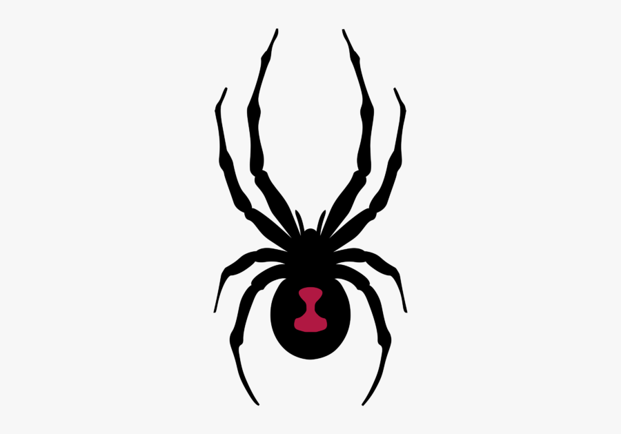 Spyder Logo , Free Transparent Clipart - ClipartKey