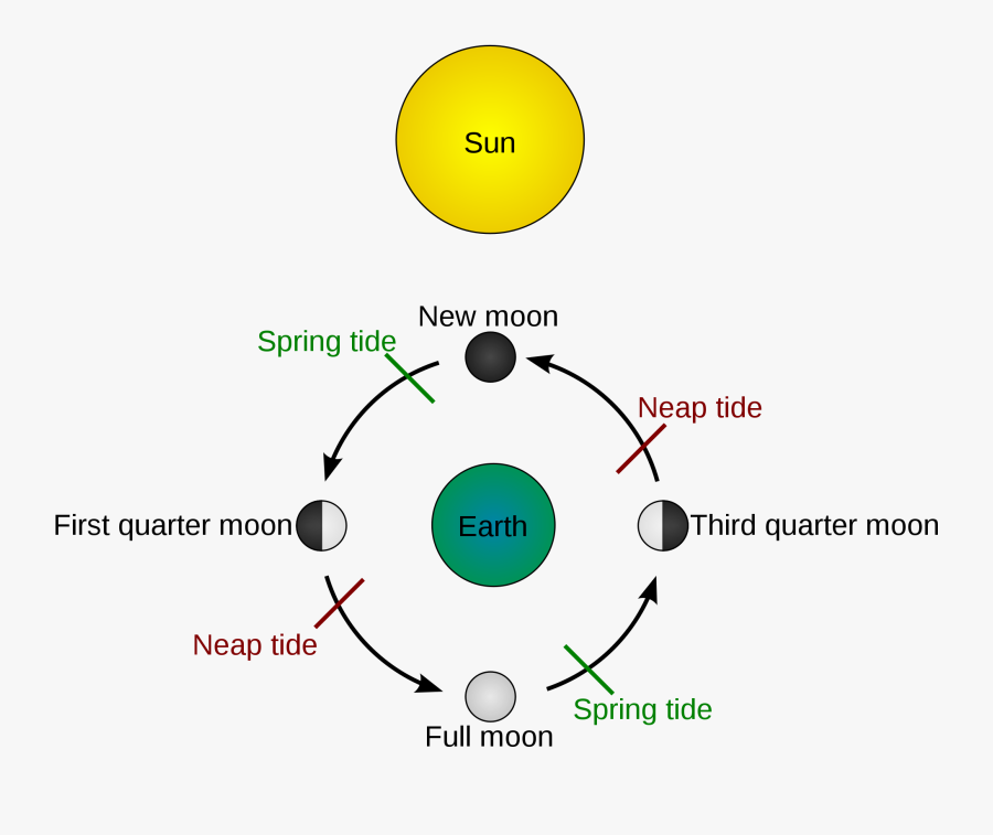 Brilliant Ideas Of New Full Moons Star World News For - Moon Phases Sun ...