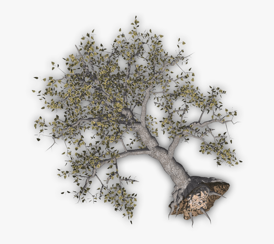 Uprooted Tree Clipart - Transparent Background Fallen Tree , Free ...