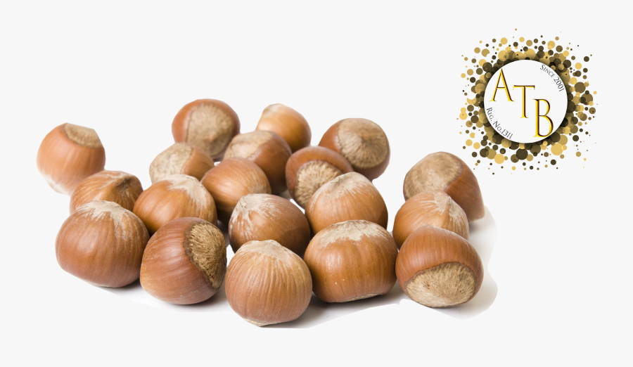 - Hazelnuts - Transparent Hazelnut Png , Free Transparent Clipart ...