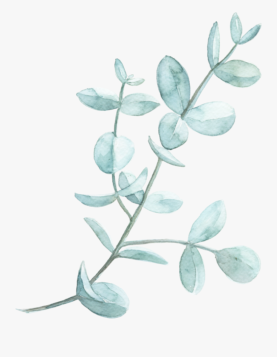 Blue Leaf Png , Free Transparent Clipart - ClipartKey