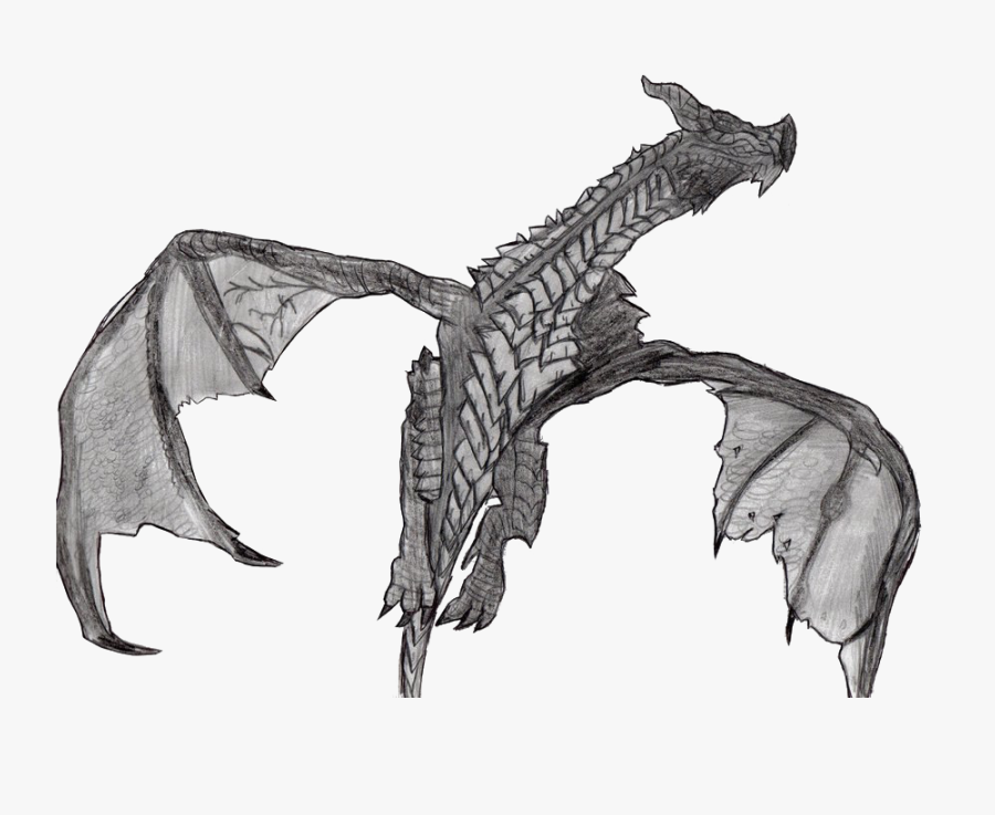 Dragon Drawings Easy Skyrim , Free Transparent Clipart - ClipartKey