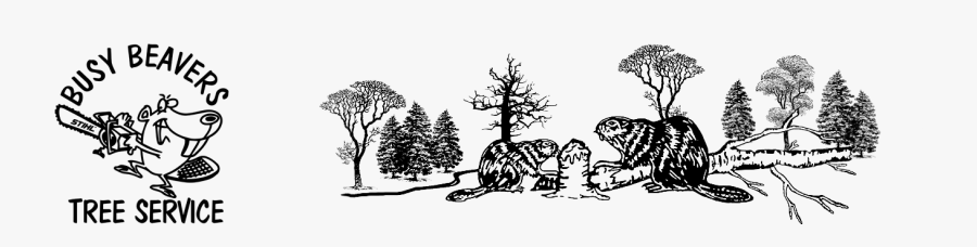 Busy Beavers Tree Service - Illustration , Free Transparent Clipart ...