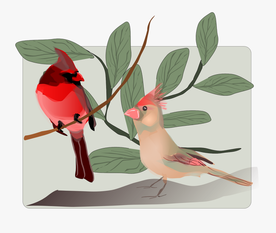 Singing Bird Clip Art , Free Transparent Clipart - ClipartKey