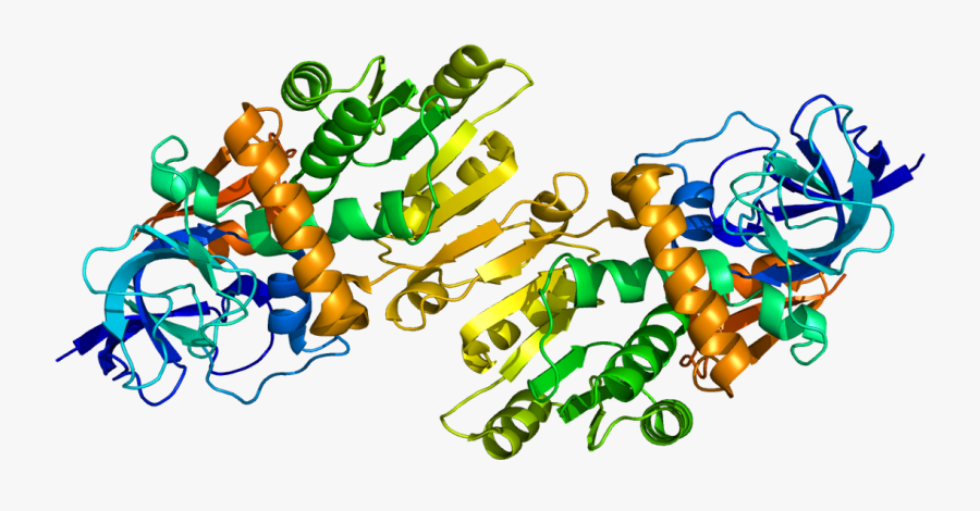 Transparent Atp Clipart , Free Transparent Clipart - ClipartKey