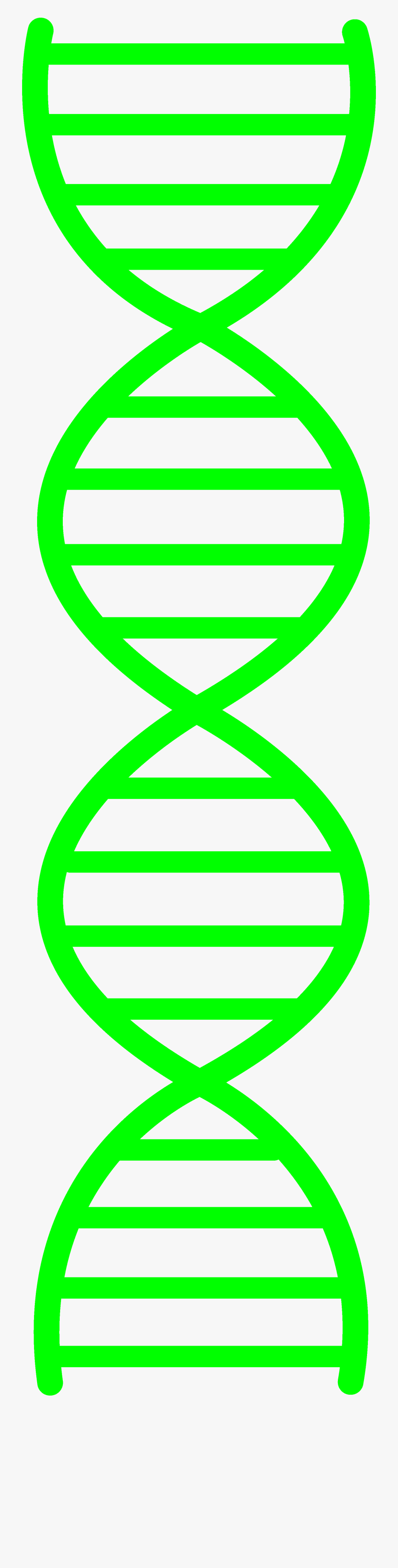 Green Dna Design - Simple Dna Double Helix , Free Transparent Clipart ...