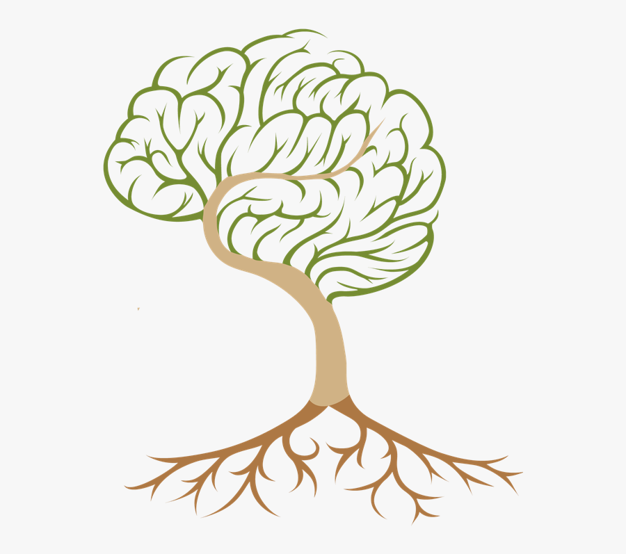 Brain As Tree , Free Transparent Clipart - ClipartKey