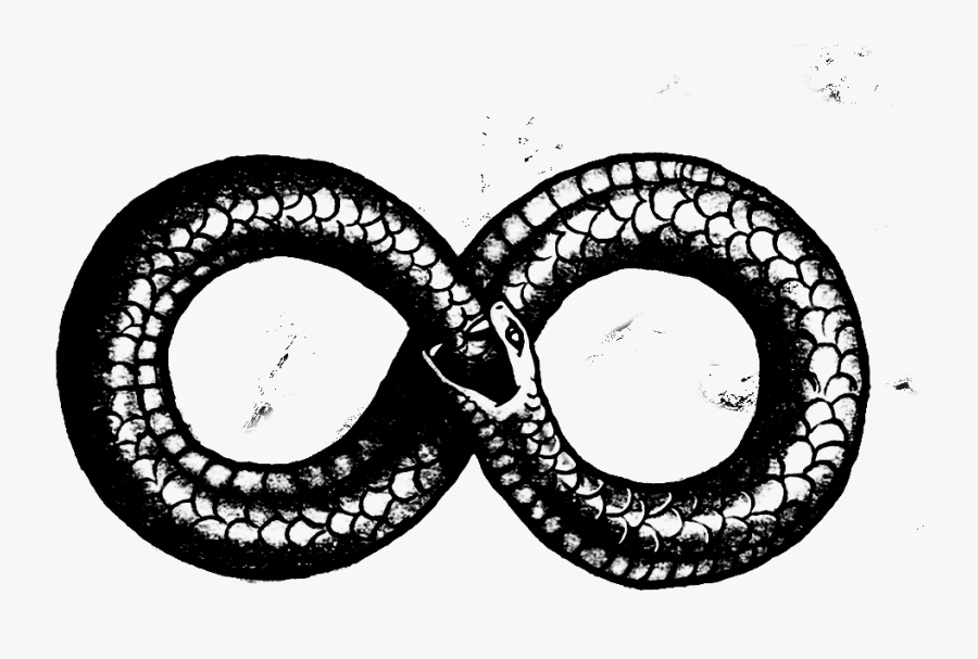 Snake In 8 Shape , Free Transparent Clipart - ClipartKey