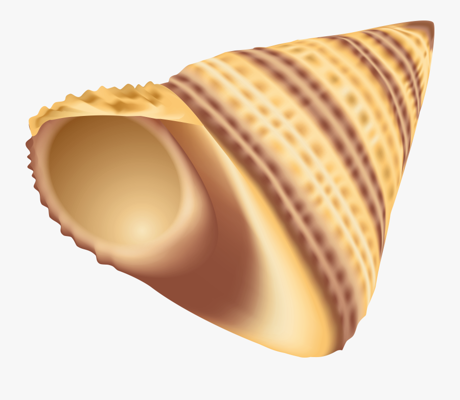 Hermit Crab Shell Clipart , Free Transparent Clipart - ClipartKey