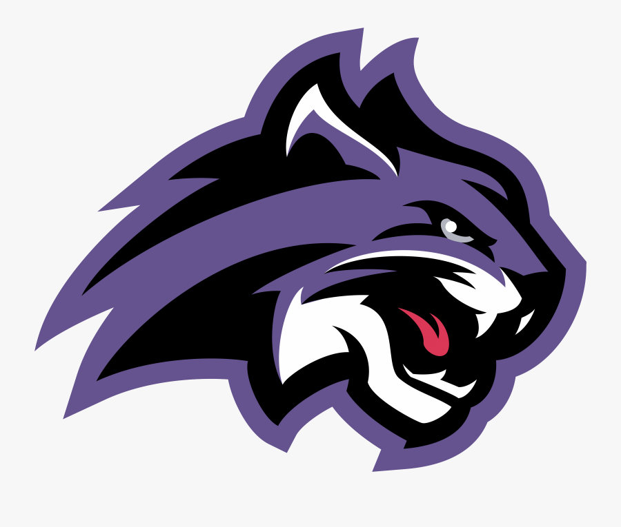 Wiley Wildcat , Free Transparent Clipart - ClipartKey