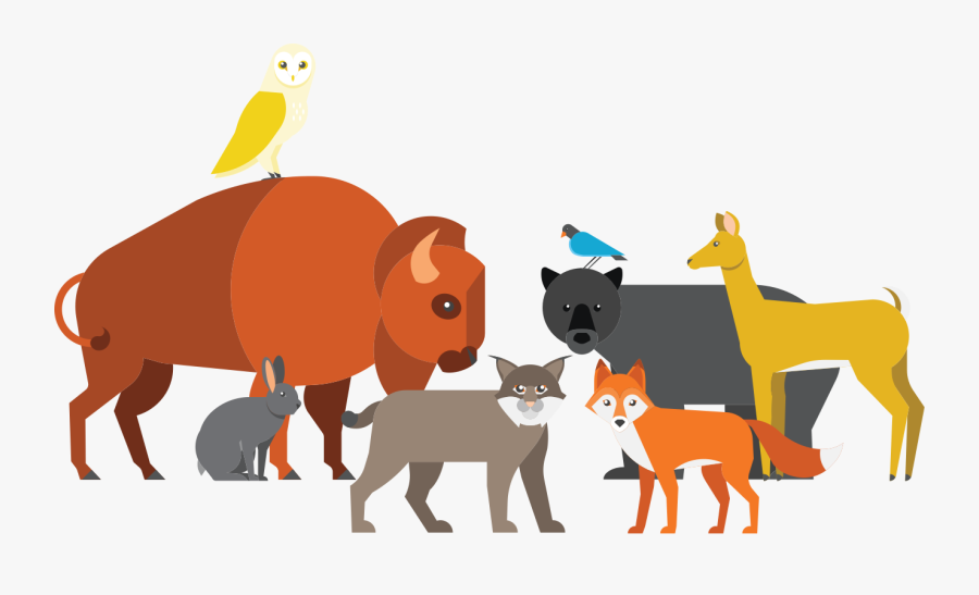 Environment Clipart Animal Planet - Png Clipart Animal Group , Free ...