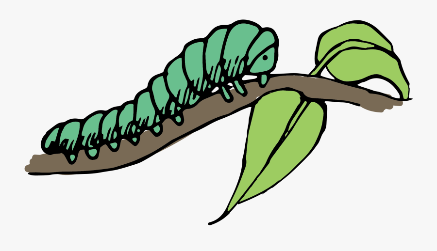 Caterpillar Clip Art - Caterpillar Leaf Png , Free Transparent Clipart ...