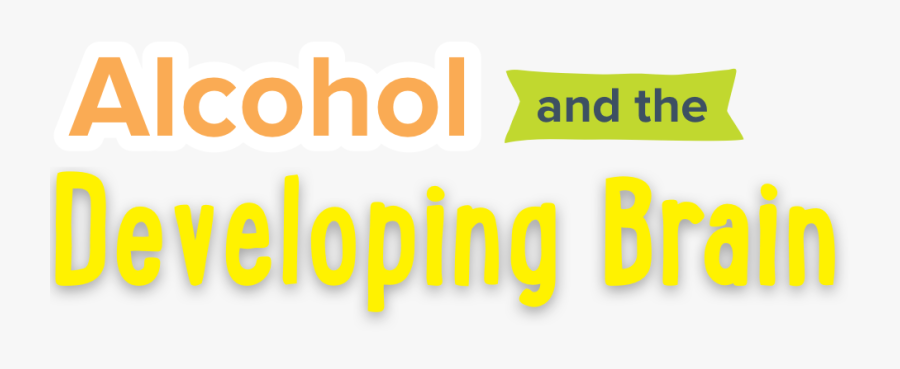 Alcohol And The Developing Brain - Graphic Design , Free Transparent ...