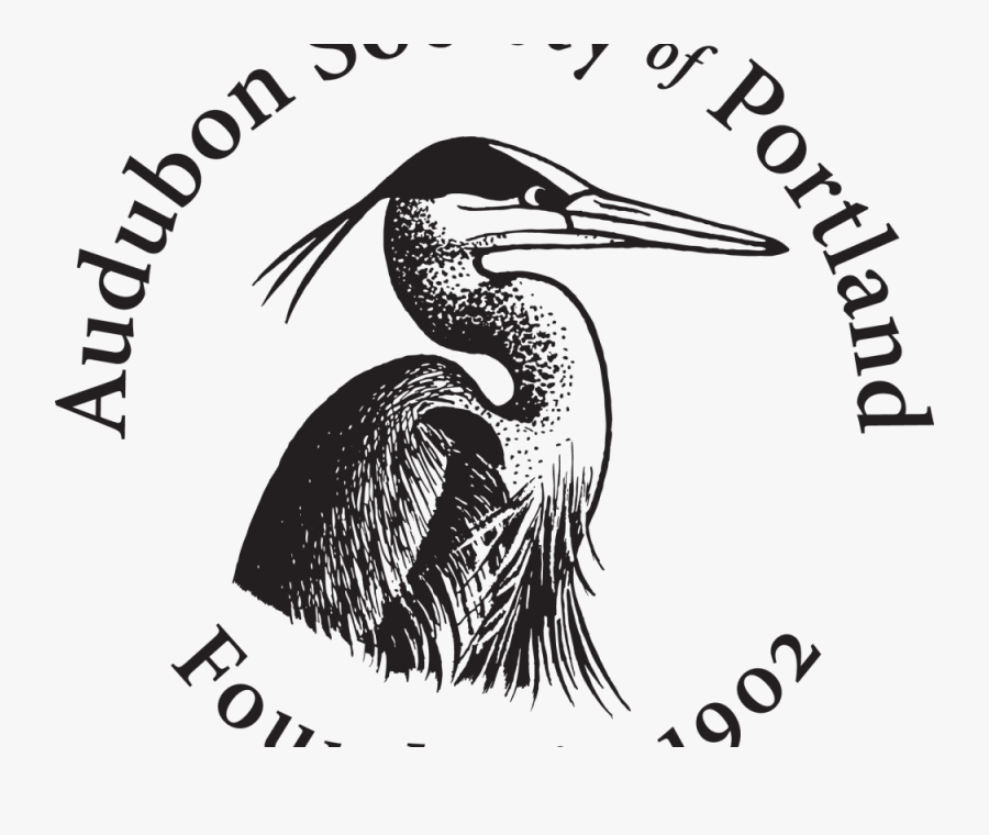 Audubon Society Of Portland Logo , Free Transparent Clipart - ClipartKey