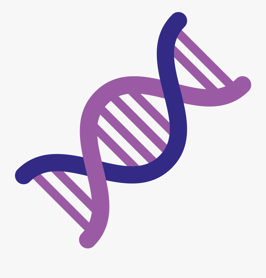 Dna Minimalist , Free Transparent Clipart - ClipartKey
