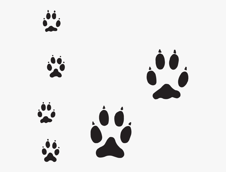 Clip Art Cat Tracks In Snow - Dog Paw Tracks , Free Transparent Clipart ...
