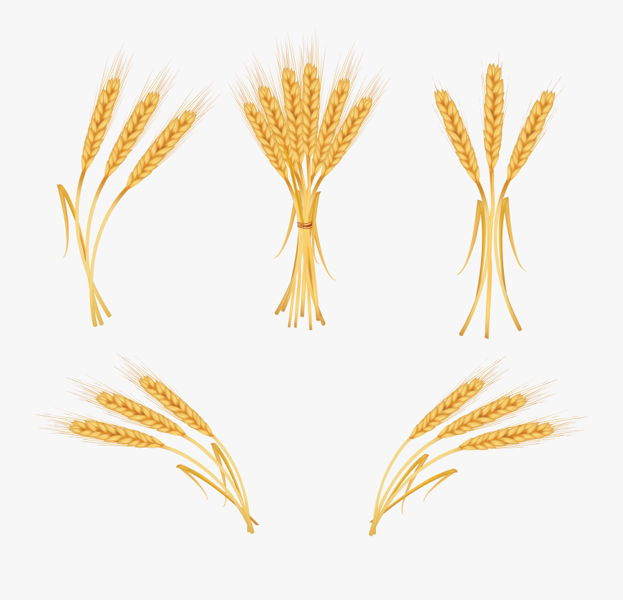 Png Images Free Download - Nelkathir Png , Free Transparent Clipart ...