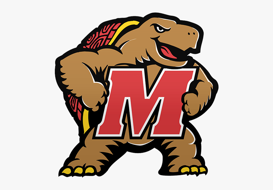 University Of Maryland Testudo , Free Transparent Clipart - ClipartKey