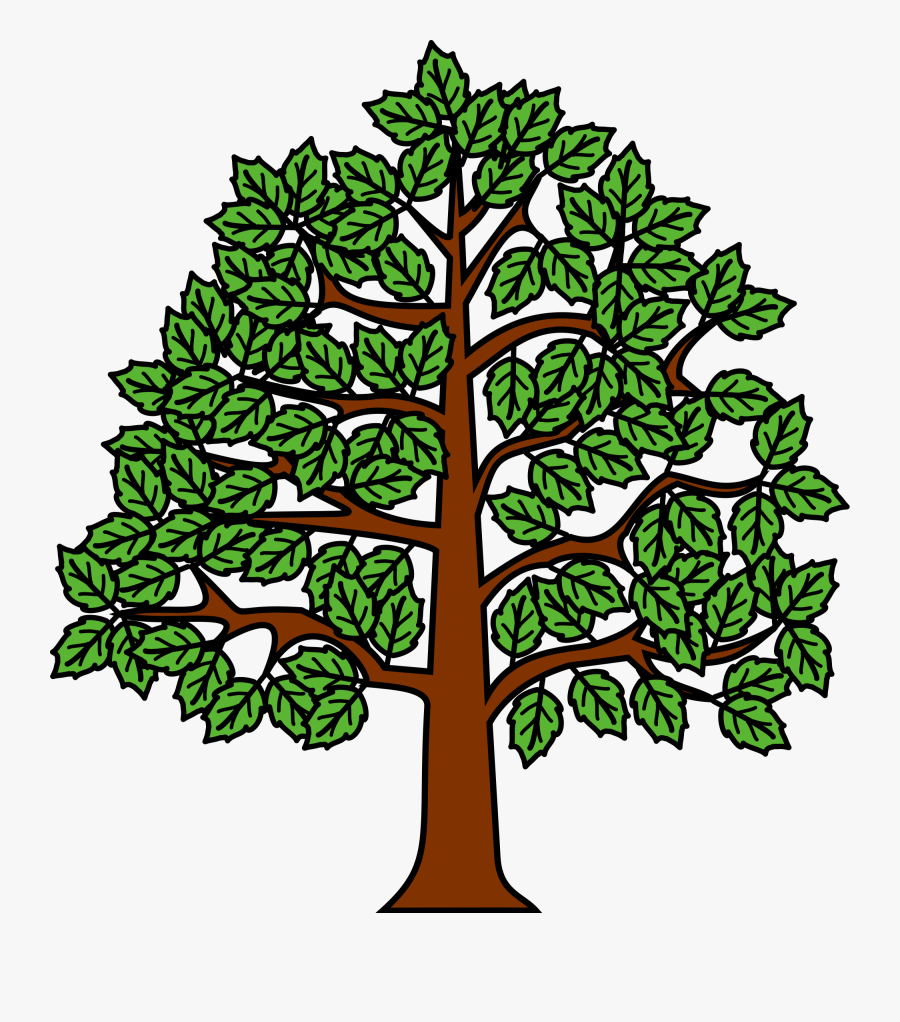 Beech Tree Svg Royalty - Tree Heraldry Wiki Commons , Free Transparent ...