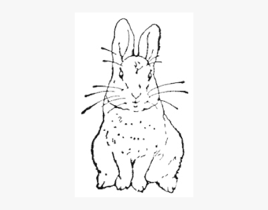 Rabbit Clip Art , Free Transparent Clipart - ClipartKey
