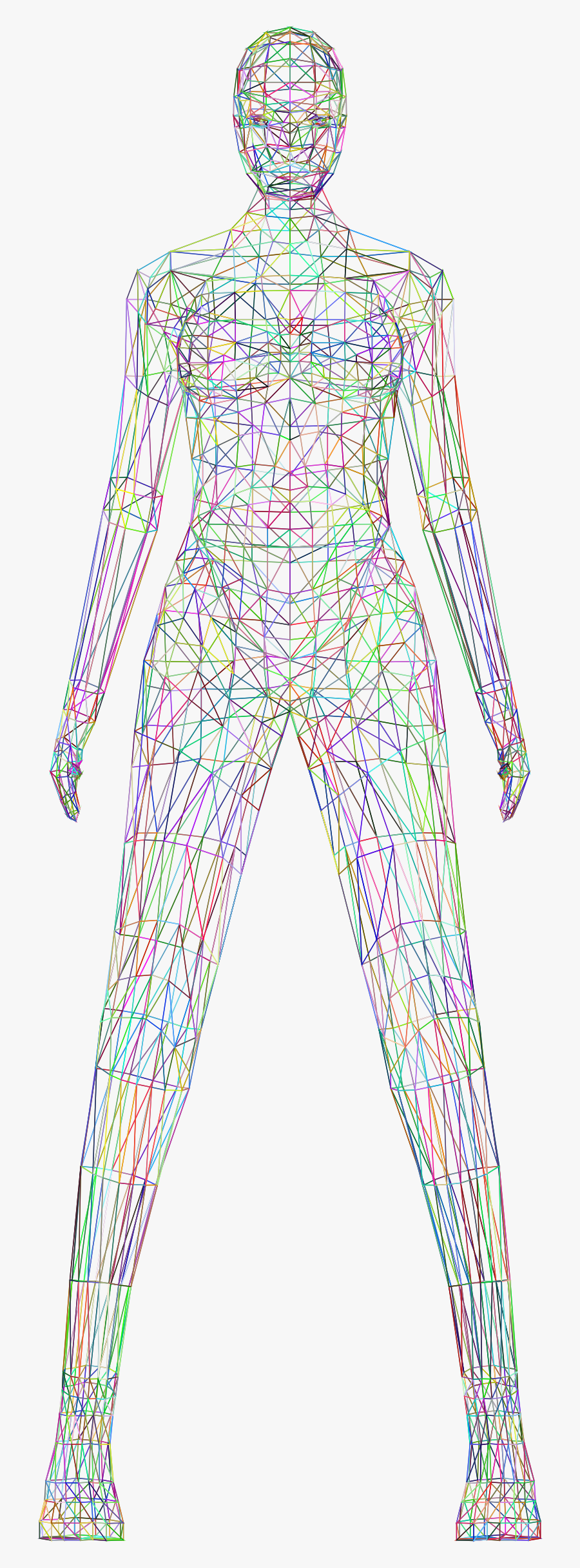 Low Poly Female Body Wireframe Prismatic Clip Arts - Body Wireframe Png ...
